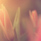 Chatswood Station Medical Cosmetic and Dental Practice - Book Doctors ...